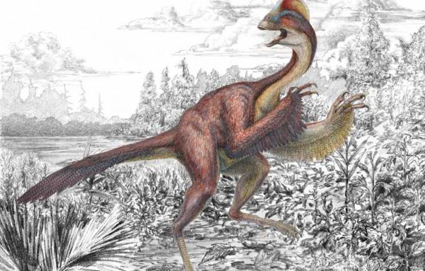 A New Dinosaur On The Block: The Anzu | LATF USA