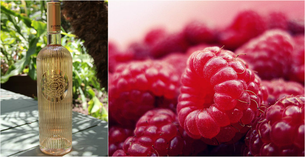 Wine Spotlight: Provence Rosé For The Summer | LATF USA