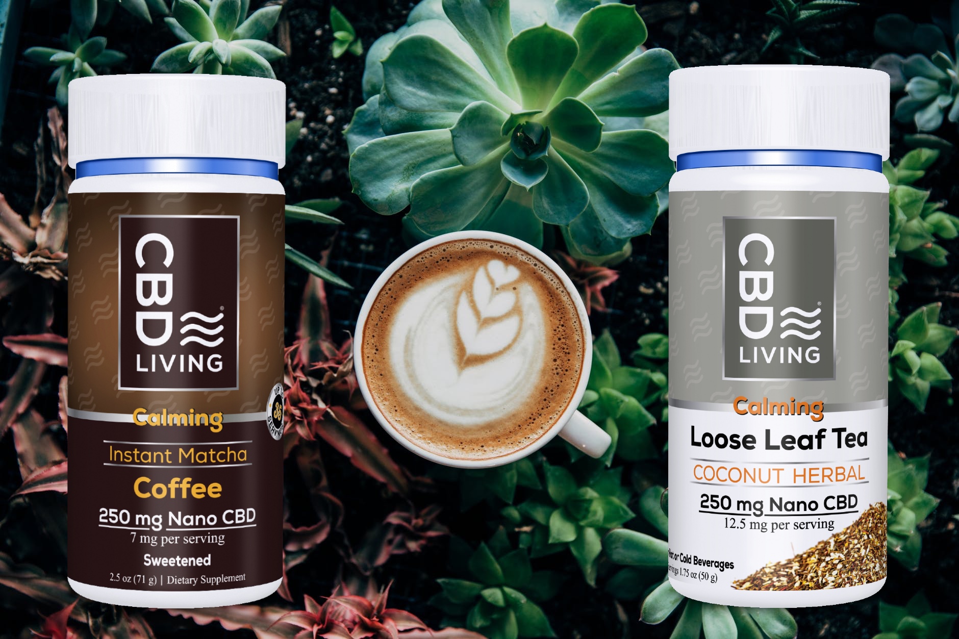 A Way of Life With CBD Living | LATF USA