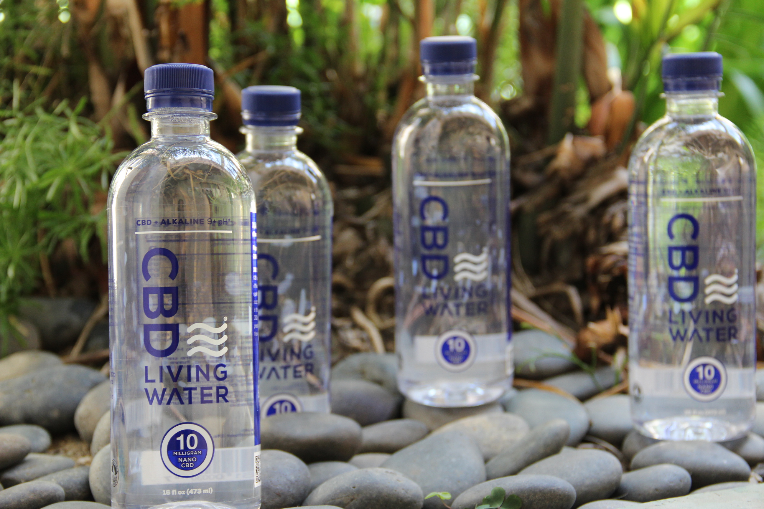 CBD Living Water & Sparkling Water Is The Best of the Best | LATF USA